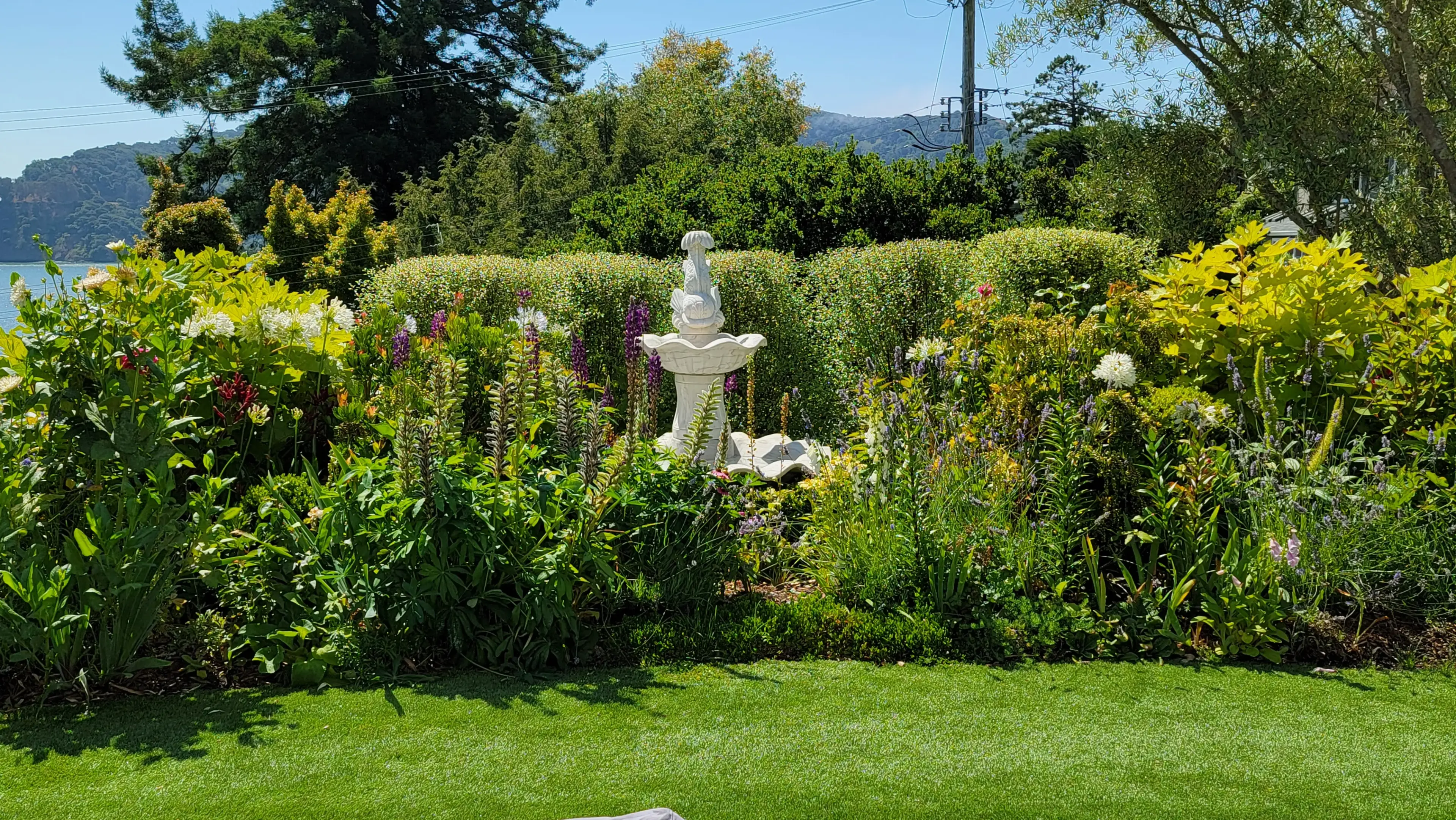 G LANDSCAPE DIVISION LLC. - 11 Surveys, Videos, Articles, & More ...