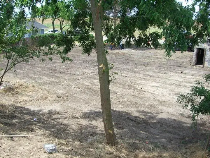 DIG & DEMO - 360 Surveys, Videos, Articles, & More | Diamond Certified