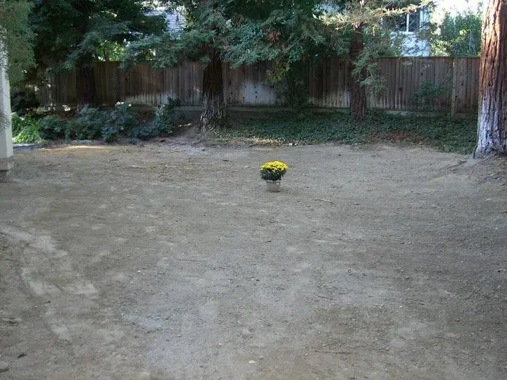 DIG & DEMO - 360 Surveys, Videos, Articles, & More | Diamond Certified